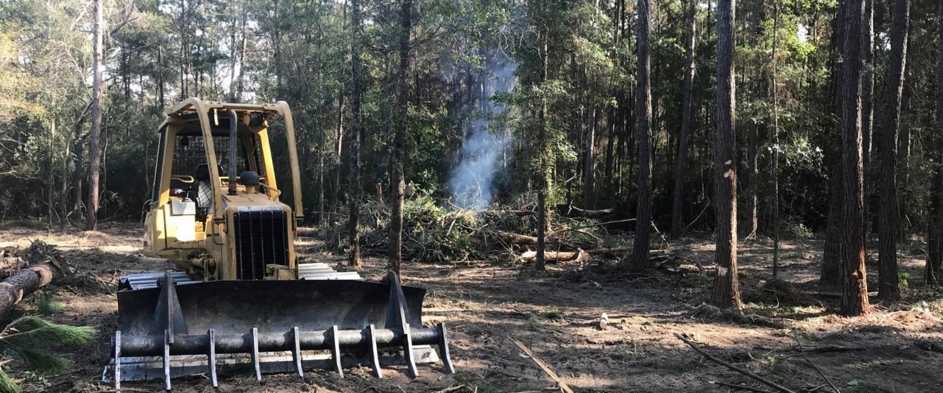 Safety Precautions for Land Clearing Activities
