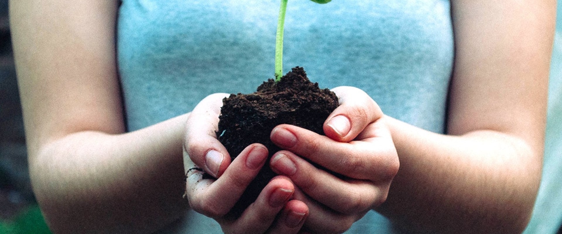 10 Ways to Reduce Land Pollution